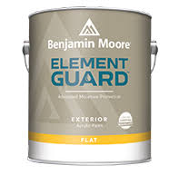 ELEMENT GUARD EXTERIOR FLAT (763) | Allandale Decorating Centre